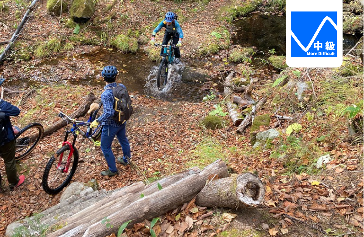 ディープフォレストクリーク | Deep Forest Creek| NORIKURA TRAIL